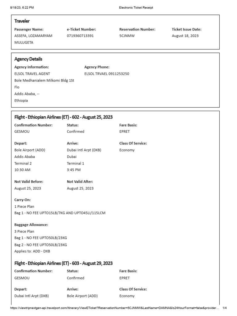Assefa, Lozamaryam Mulugeta Electronic Ticket Receipt | PDF | Civil Aviation