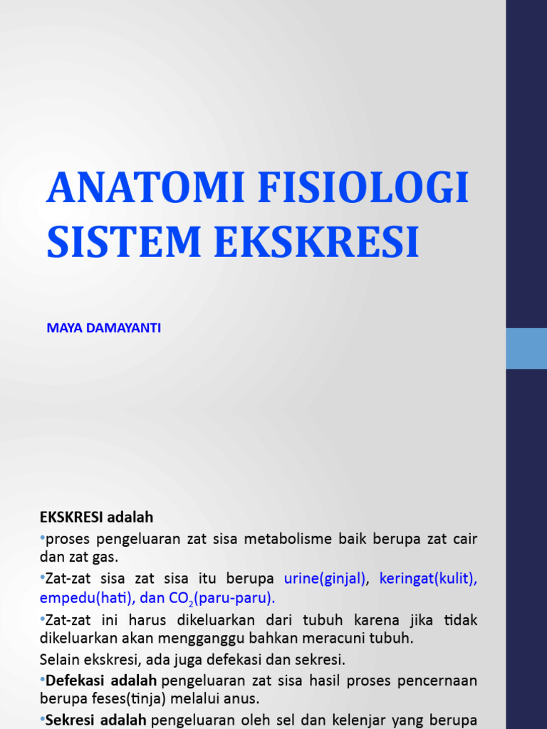 Anatomi Fisioogi Sistem Ekskresi | PDF | Griya & Taman | Kesehatan Holistik