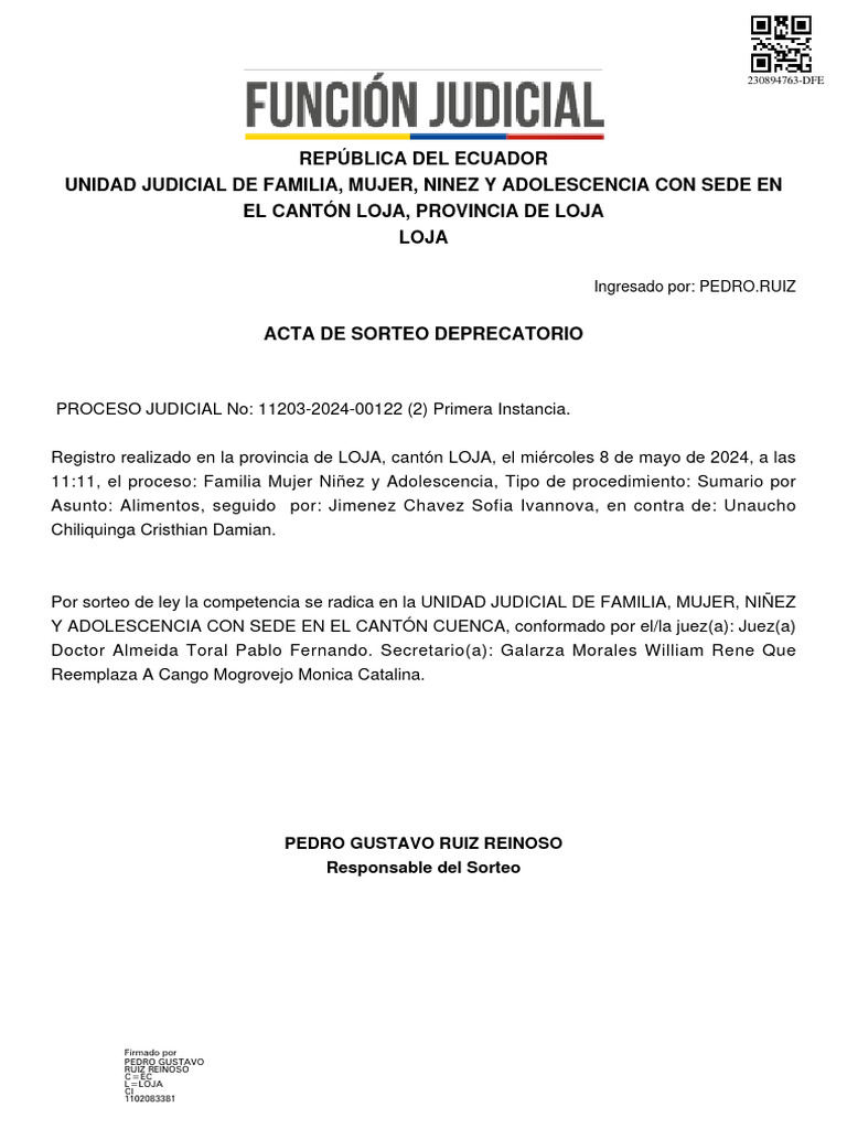 Acta de Sorteo - 26245539 | PDF | Política | Ciencias sociales