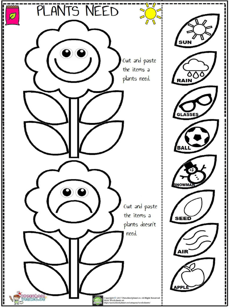 Plants Cut | PDF