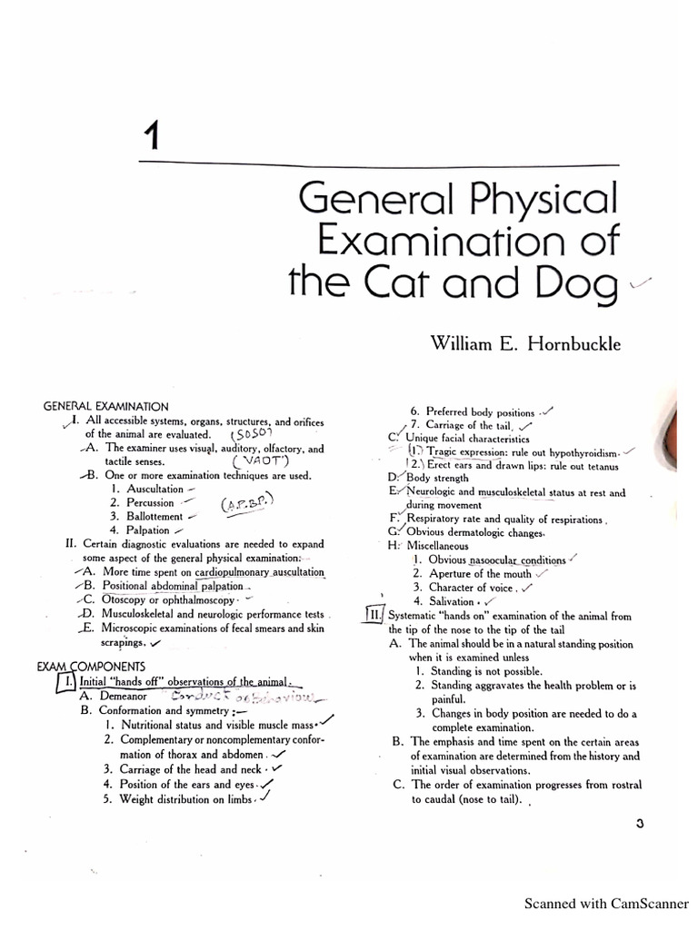 General Physical Examination of the Cat & Dog | PDF