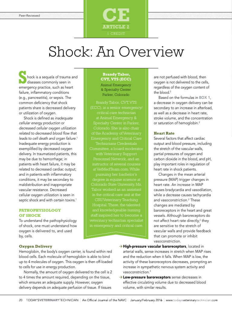 Shock Pdf Shock Circulatory Blood