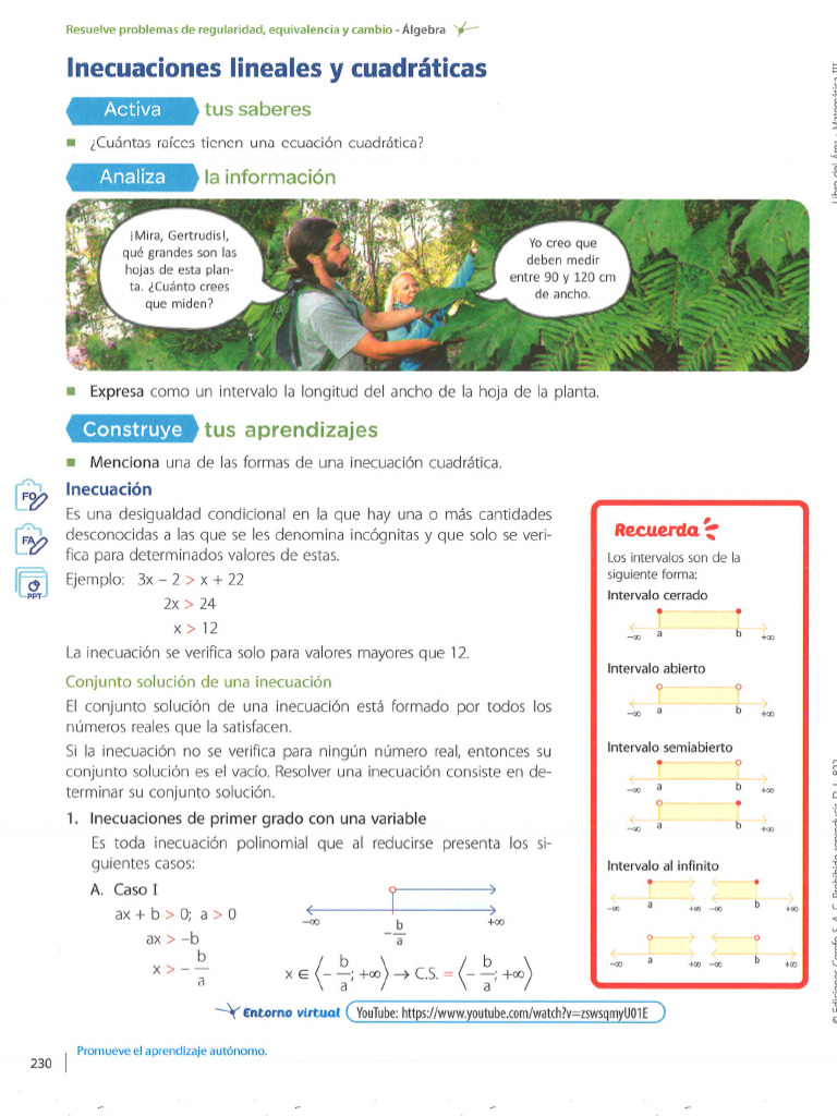 Inecuaciones Lineales y Cuadraticas | PDF