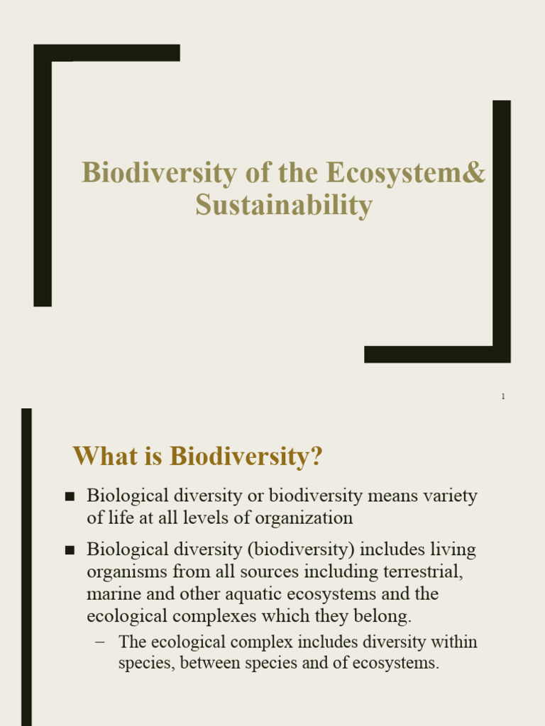 Biodiversity Of The Ecosystem Sustainability Pdf Food Web