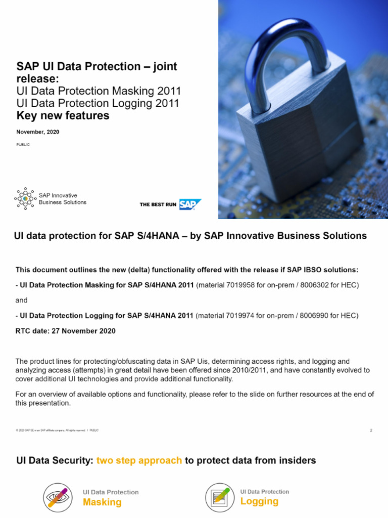 SAP UI Data Protection 2011 release information and features | PDF