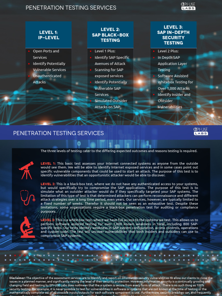 SAP Penetrating Testing Services by EPI-USE Labs | PDF | Security ...