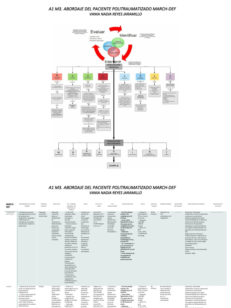 Abordaje Con El Protocolo MARCH-DEF | PDF | Hipoglucemia | Coagulación