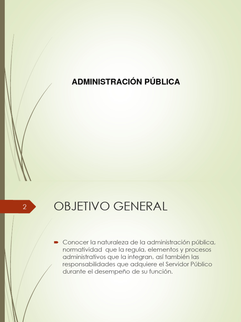 Visuales Admón Pública | PDF | Administración Pública | Planificación