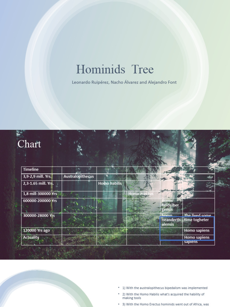Hominids Tree | PDF | Social Science