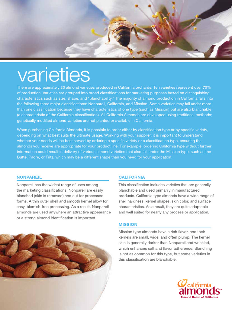 Almond Varieties | PDF | Almond | Nut (Fruit)