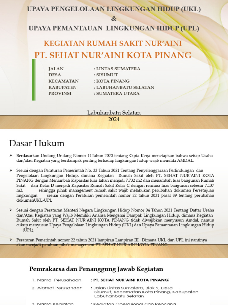 Nur'aini 2024 Rev 1 | PDF