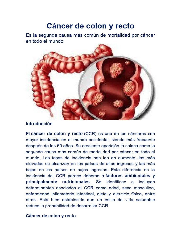 Cáncer de colon y recto | PDF | Cáncer colonrectal | Cáncer