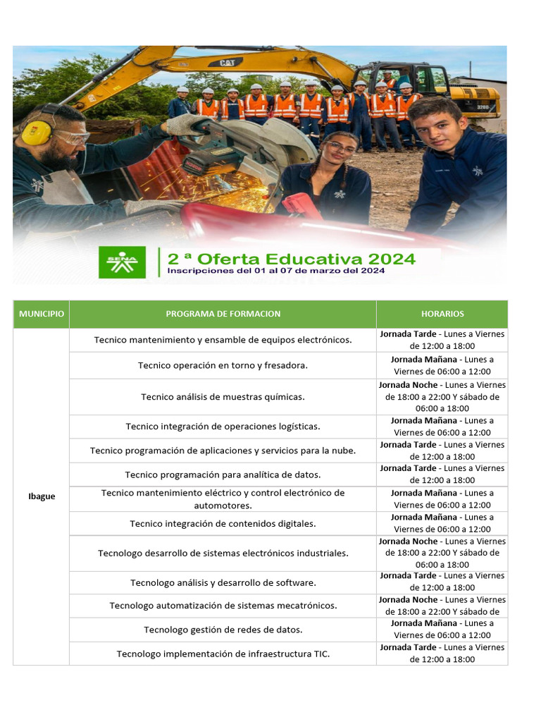 volante 2 | PDF | Ingeniería | Informática