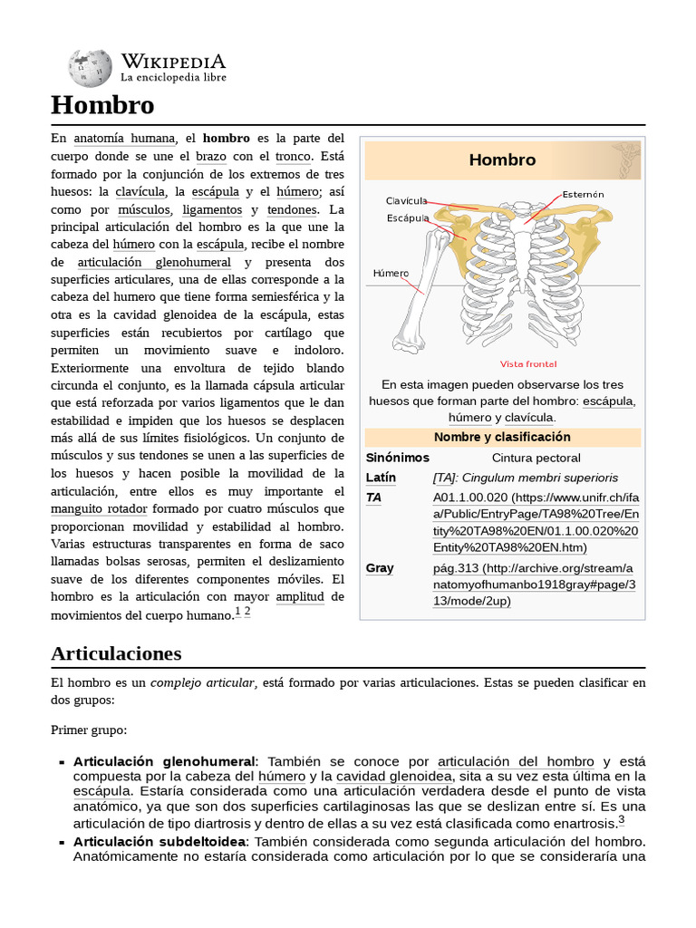 Hombro | PDF | Hombro | Sistema musculoesquelético