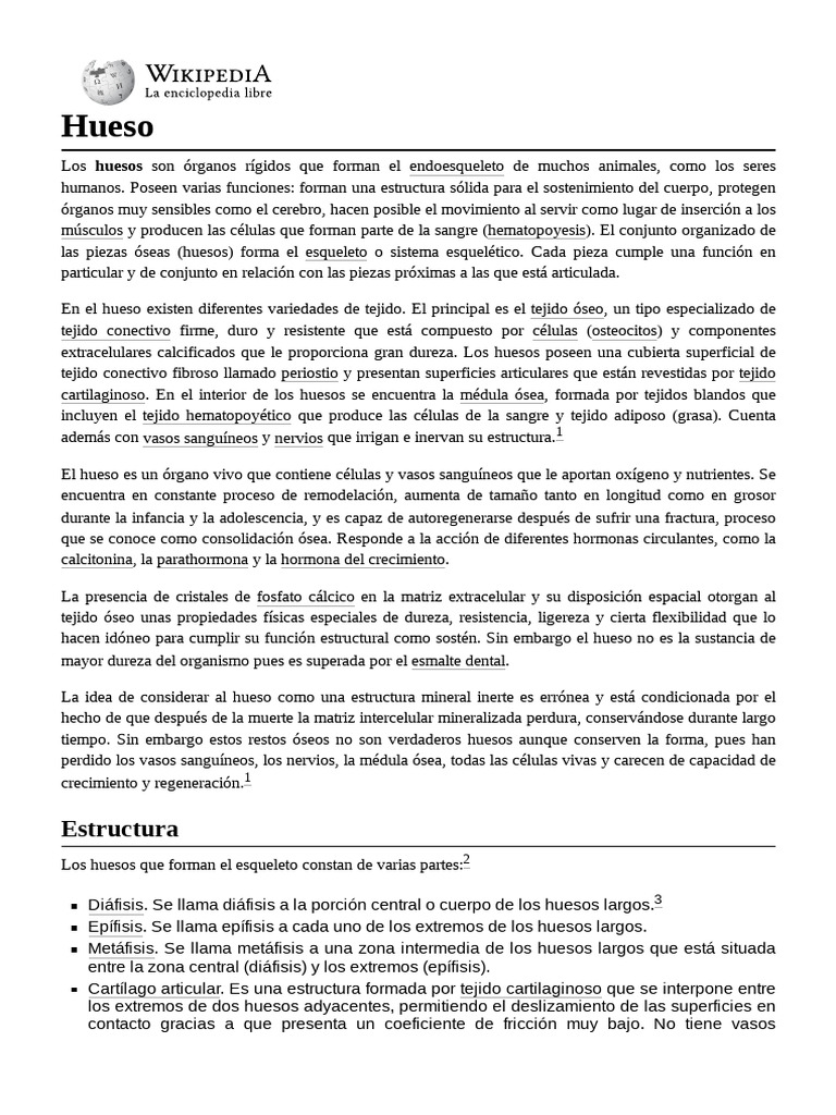 Hueso Pdf Hueso Tejido Biología