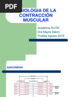 Estructura y función de la miosina | PDF | Biología Molecular ...
