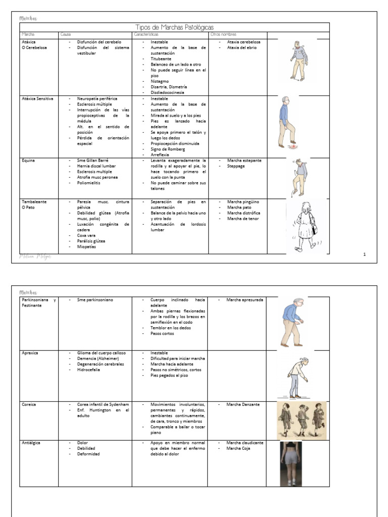 Tipos de Marcha 2 | PDF | Medicina CLINICA | Especialidades Medicas