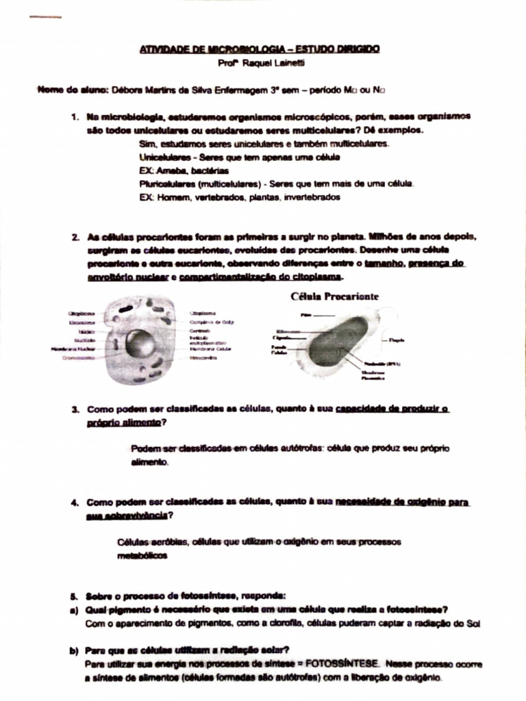Atividade Microbiologia | PDF