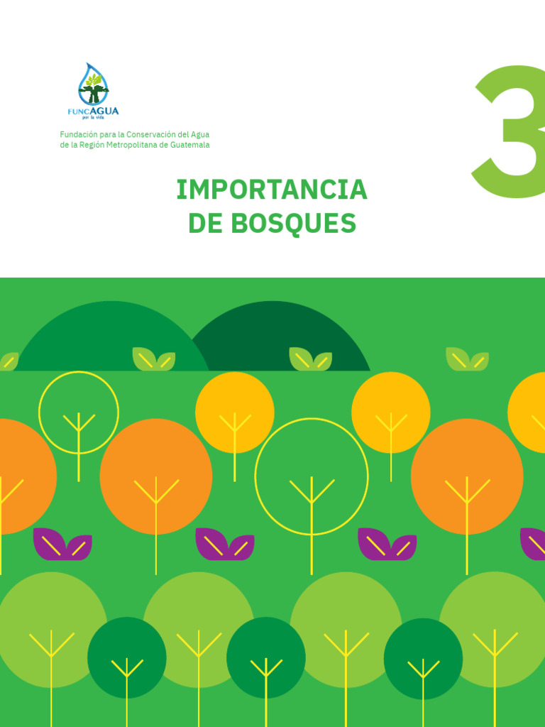 módulo-3-importancia-de-bosques | PDF | Deforestación | Los bosques