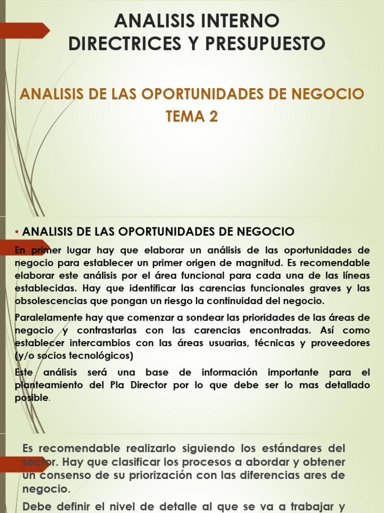 Analisis Interno Directrices y Presupuesto (Tema 2) | PDF | Presupuesto | Business