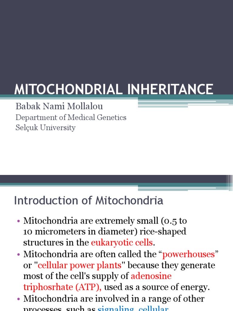 Mitochondrial Inheritance (Maternal Inheritance) | PDF | Mitochondrial ...