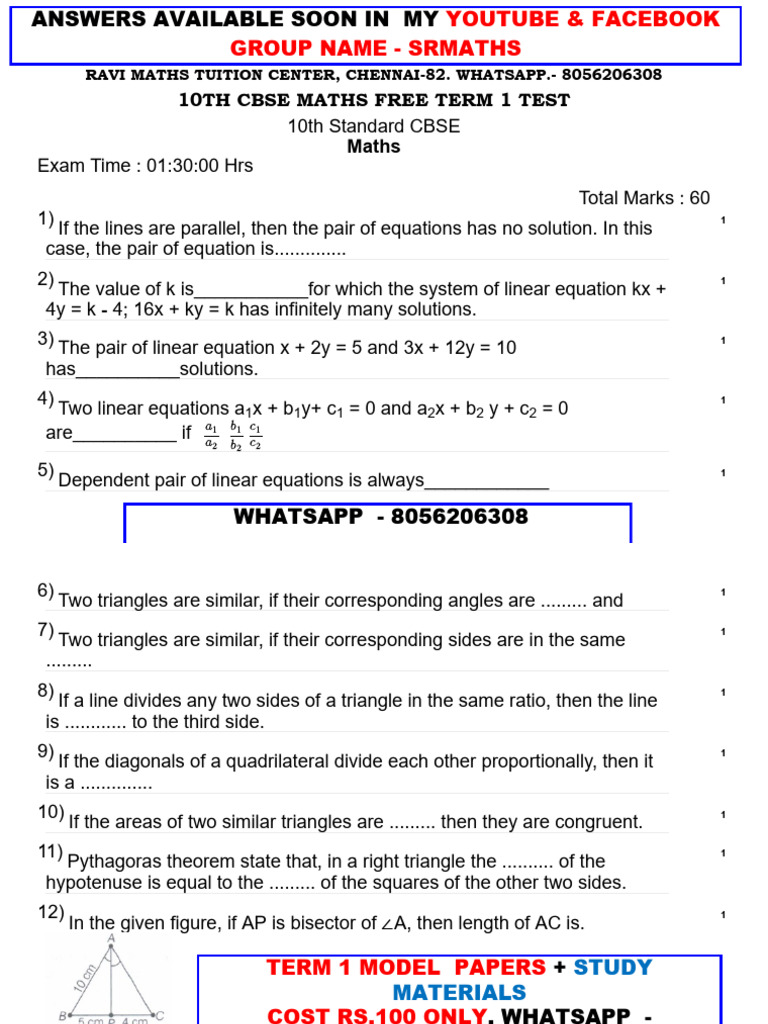 10m 1 Cbse Maths Free Term 1 Test Q | PDF | Triangle | Rational Number