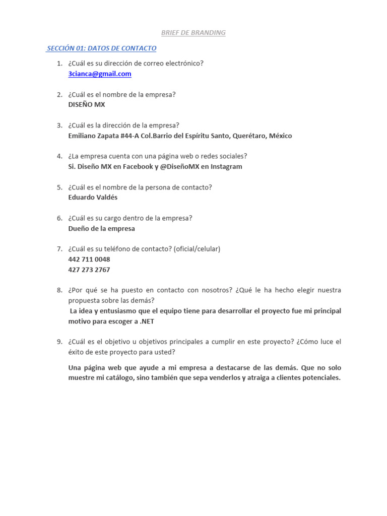 Brief de Branding para Diseño MX | PDF | Marca | Calidad (comercial)