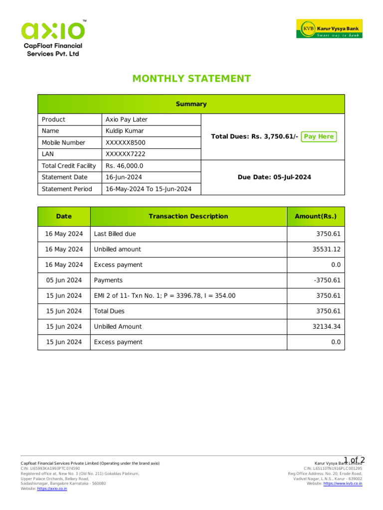 Axio Pay Later Monthly Statement Summary | PDF | Business | Payments