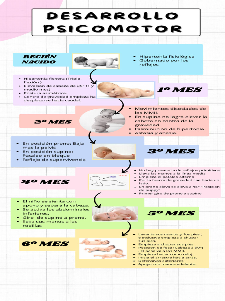 Desarrollo Psicomotor | PDF | Pelvis | Sistema musculoesquelético