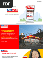 Tutorial Alfa Learning | PDF