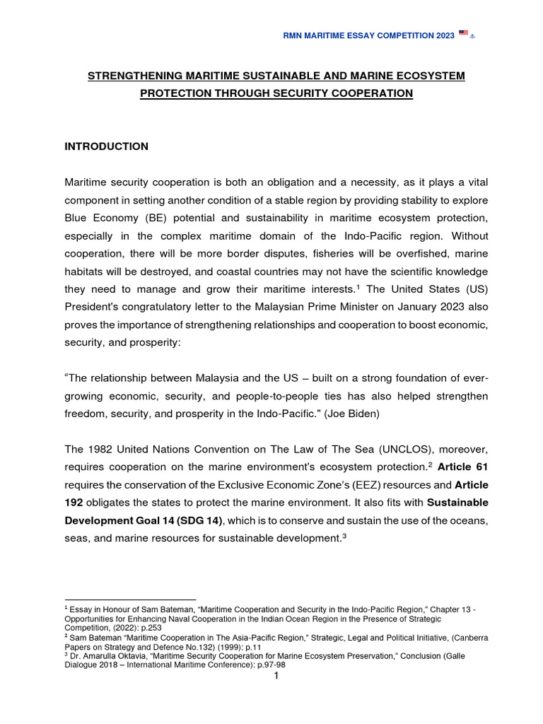 Essay Structure (Final) | PDF | Unmanned Aerial Vehicle