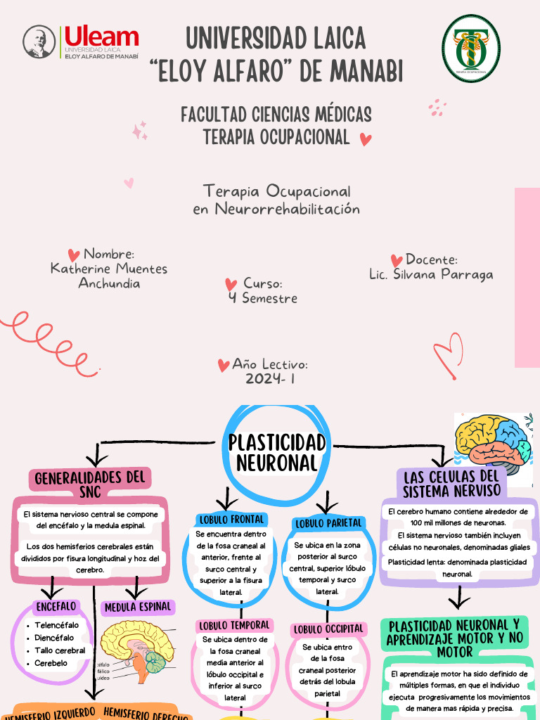 Plasticidad Neuronal y SNC | PDF | Cerebro | Sistema nervioso central