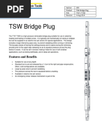 Model "D" Retainer Production Packer With Plain Bottom: Packer Systems ...