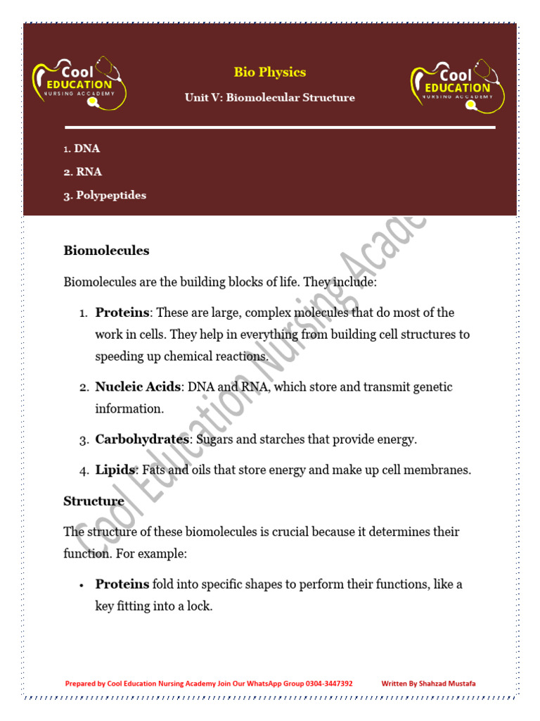 Bio Physics Unit 04 by Cool Education | PDF | Rna | Protein Structure