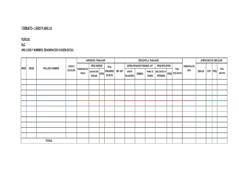 Libro Planilla | PDF