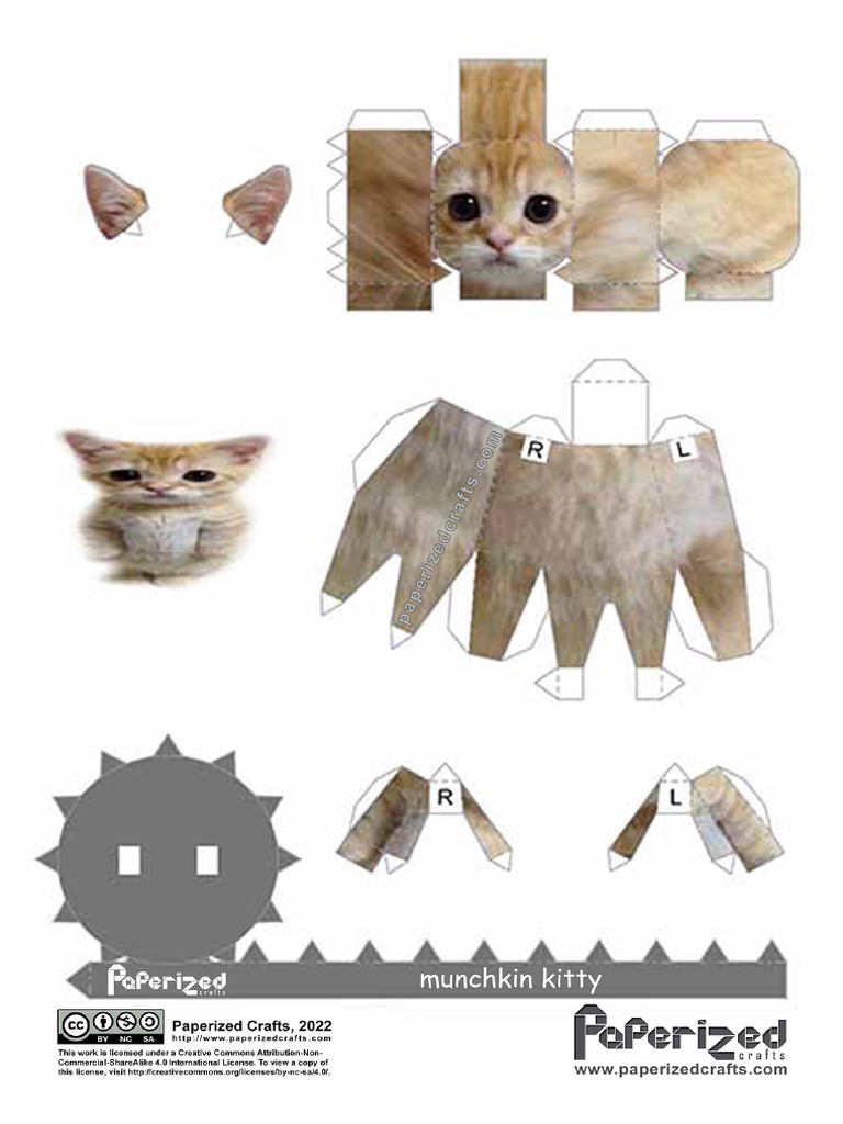 Munchkin Kitty Paperized | PDF