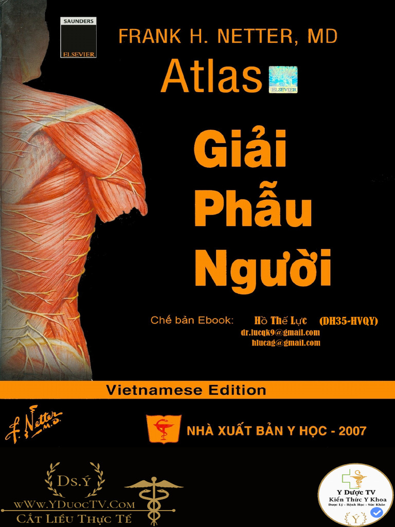 Giai Phau | PDF