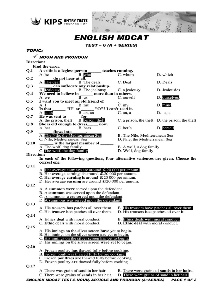 KIPS Eng Unit 6 Key Noun and Pronoun | PDF