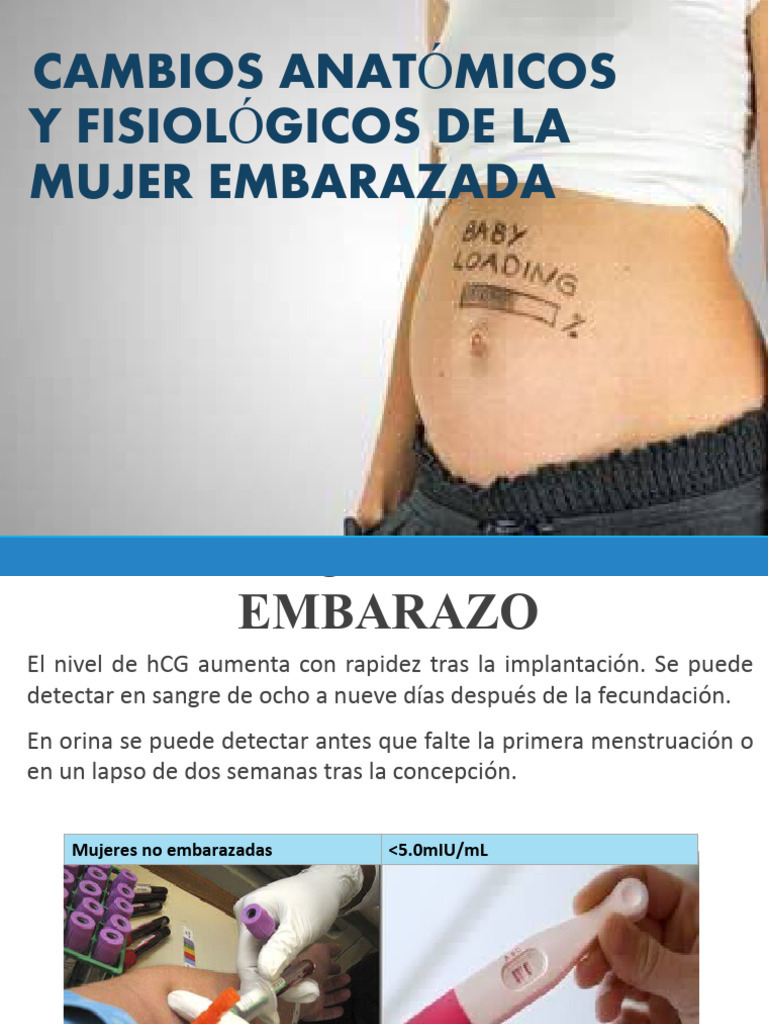20.0 Cambios Fisiológicos en La Mujer Embarazada | PDF | El embarazo ...