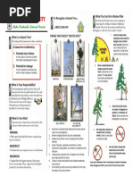 Hazard Tree Assessment Training Guide | PDF | Wood | Trees