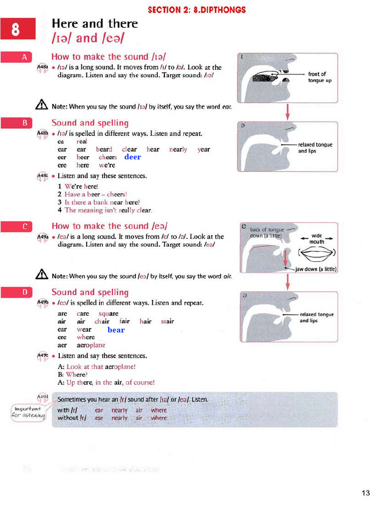 Random Word List and Phrases | PDF