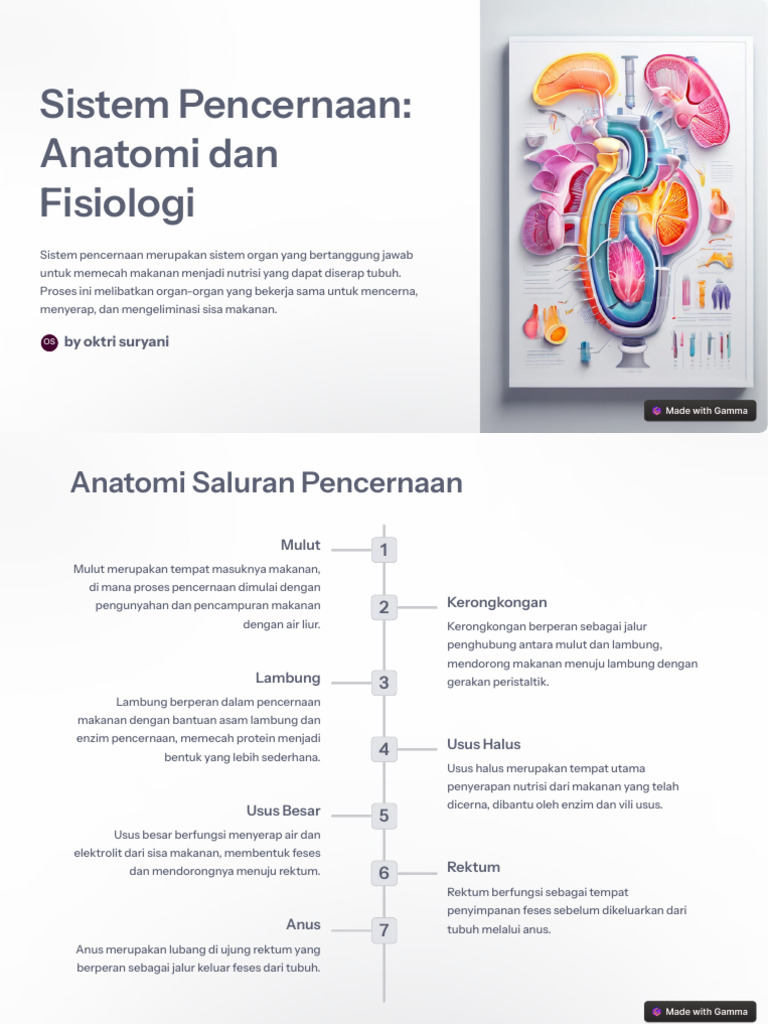 Sistem Pencernaan Anatomi Dan Fisiologi | PDF