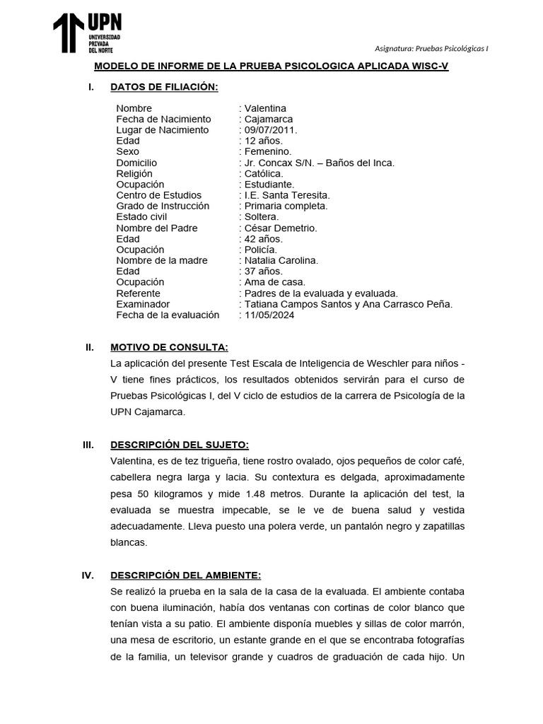 Informe Wisc-V | PDF | Memoria | Atención