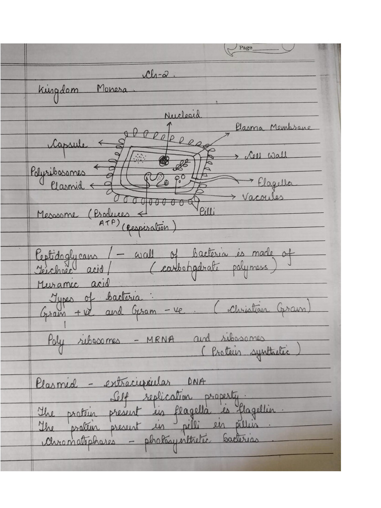 Biological Classification Notes Pdf