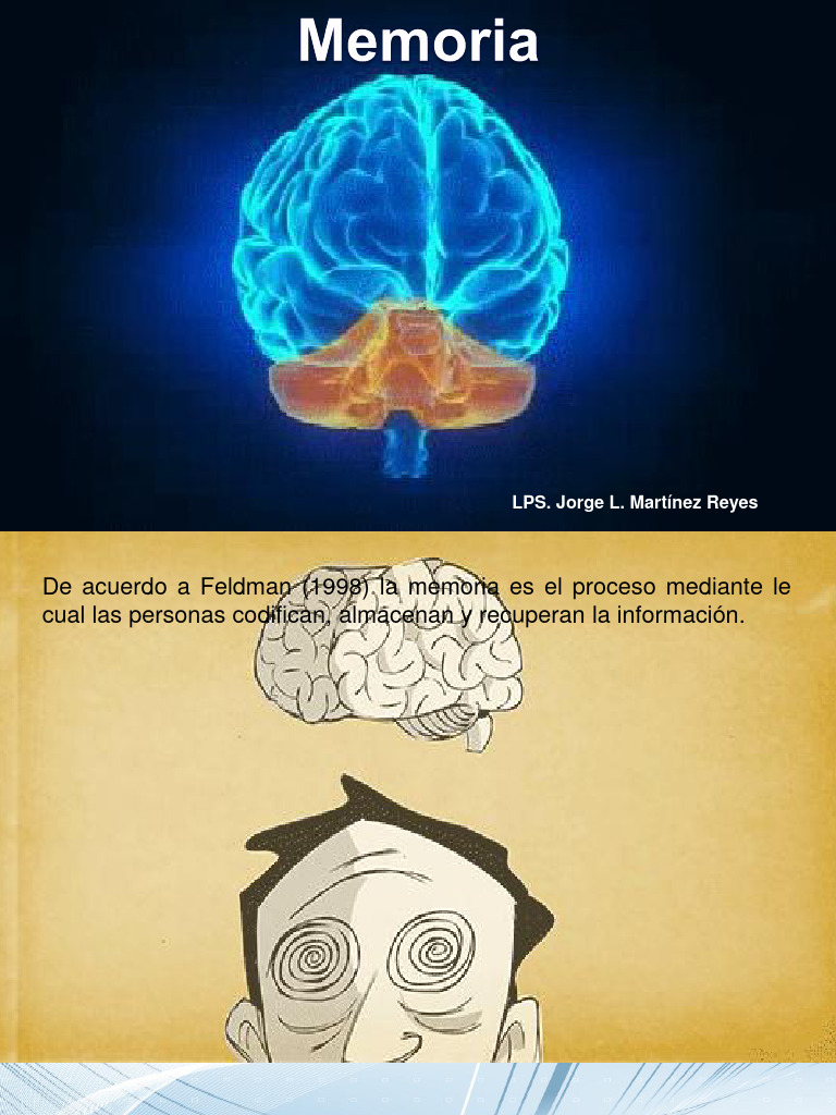 Memoria Pdf Memoria Cerebro