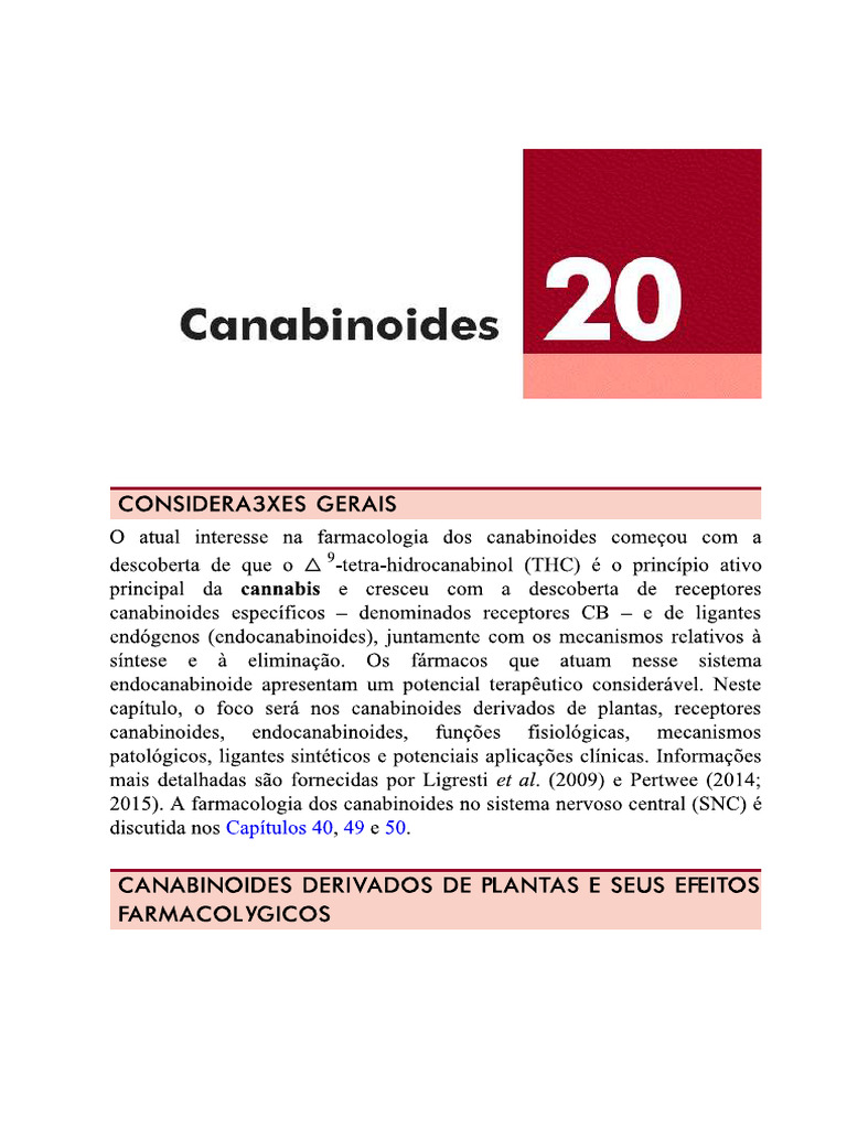 CNB | PDF