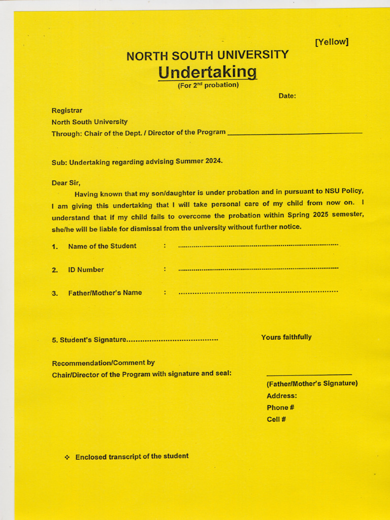 Probation 2 Yellow Form 242 | PDF
