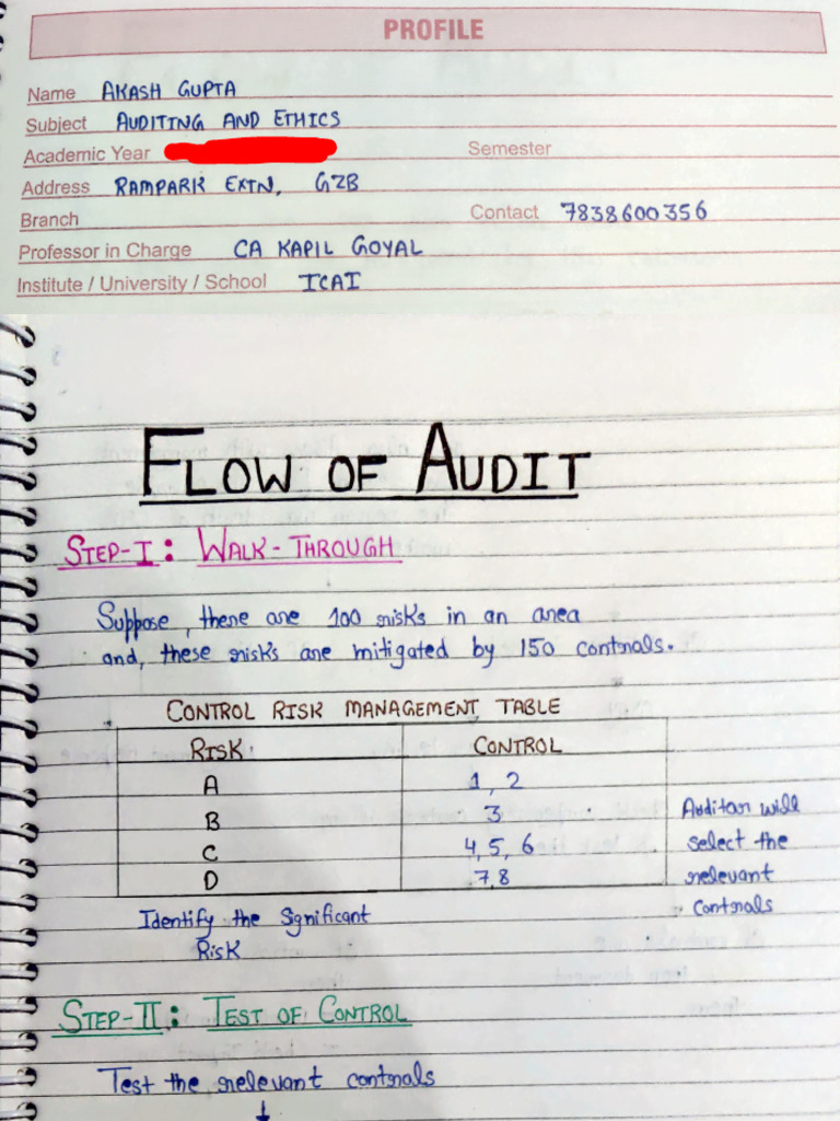 Audit Procedures and Control Testing | PDF | Business Economics ...