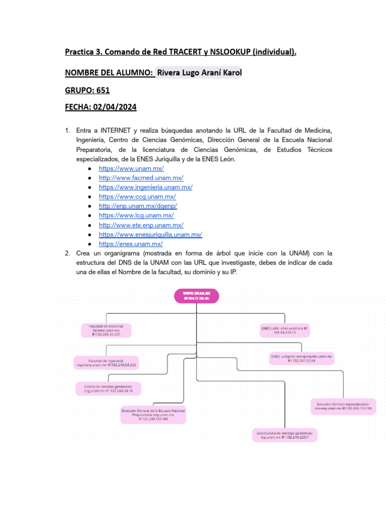 Práctica de Comandos TRACERT y NSLOOKUP | PDF | sistema de nombres de dominio | Informática