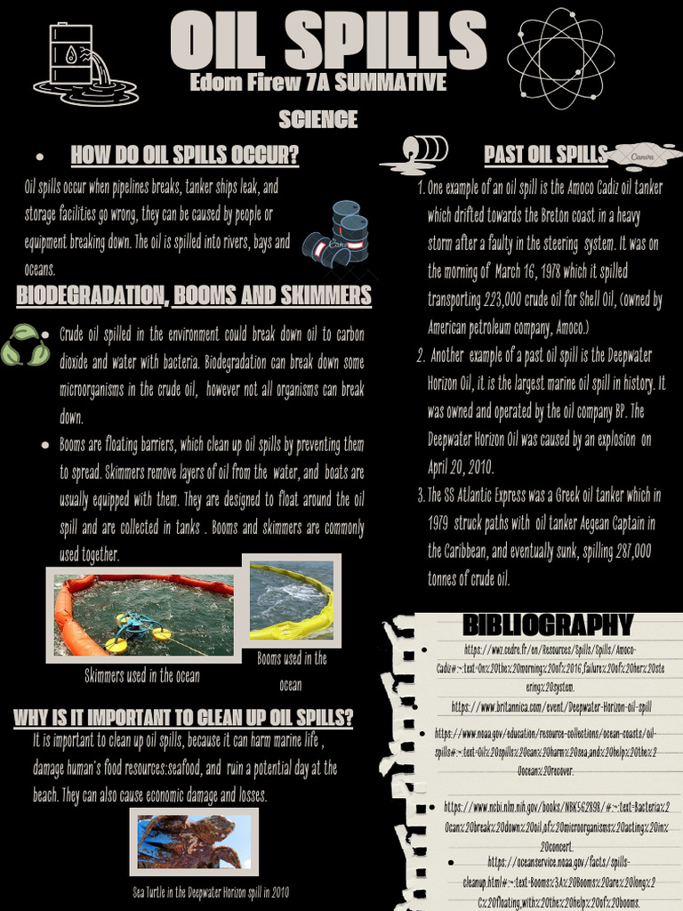 Oil Spills - Science Summative - by Edom Firew 7a | PDF | Oil Spill ...